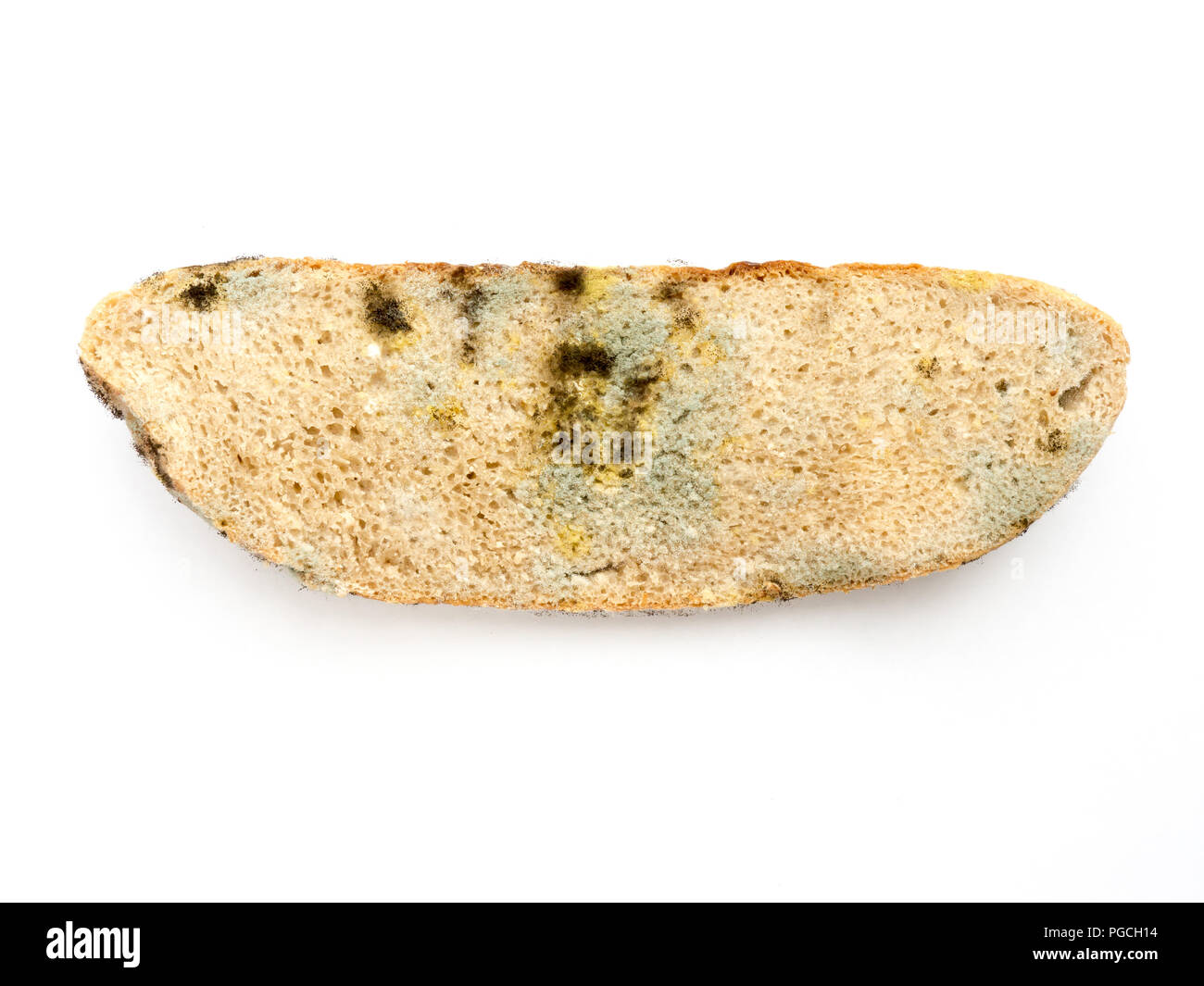 The Moldy bread Stock Photo - Alamy