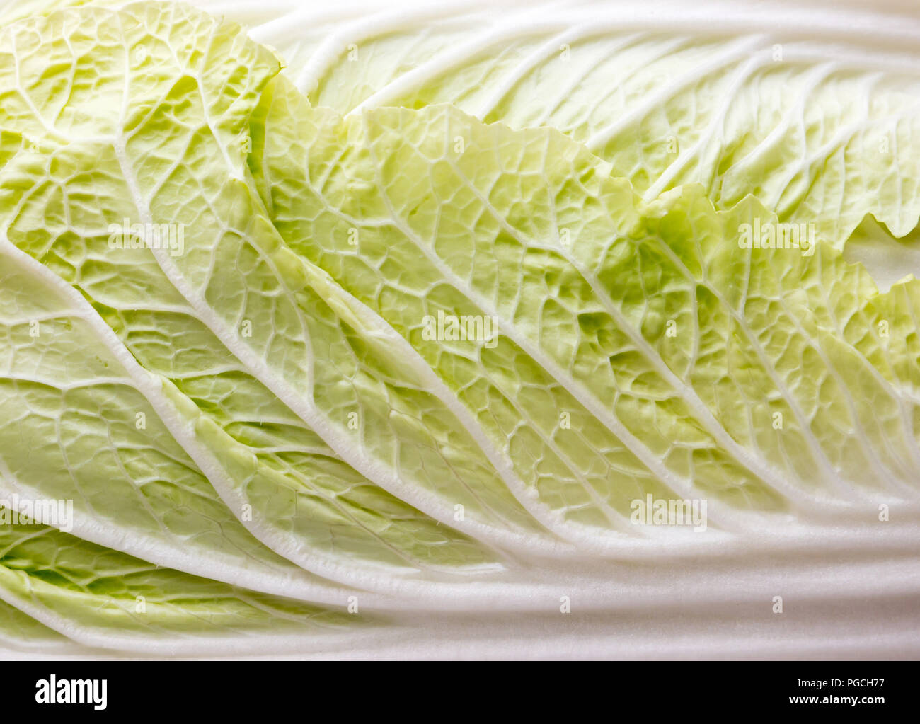 Cabbage background and texture Stock Photo - Alamy