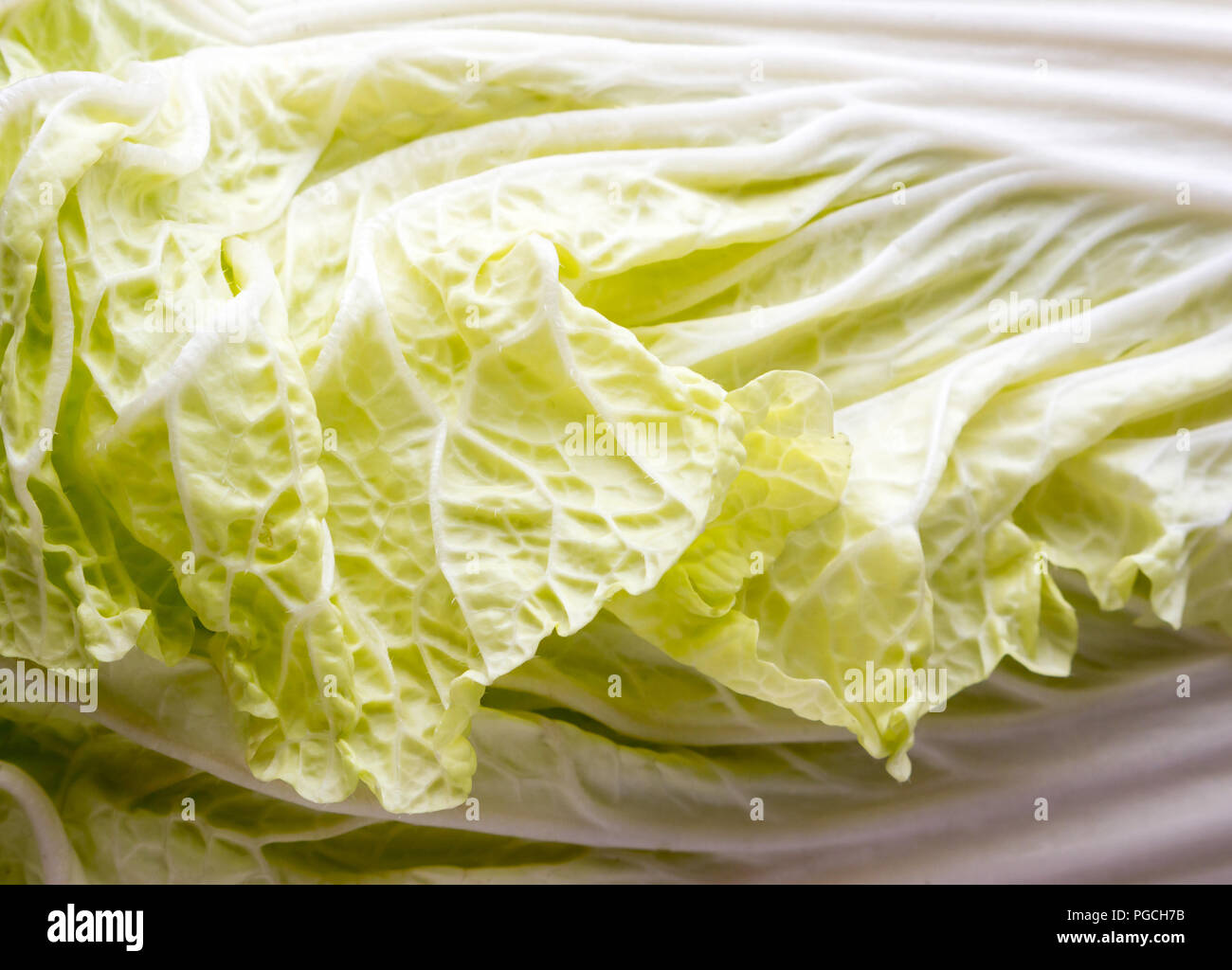 Cabbage background and texture Stock Photo - Alamy
