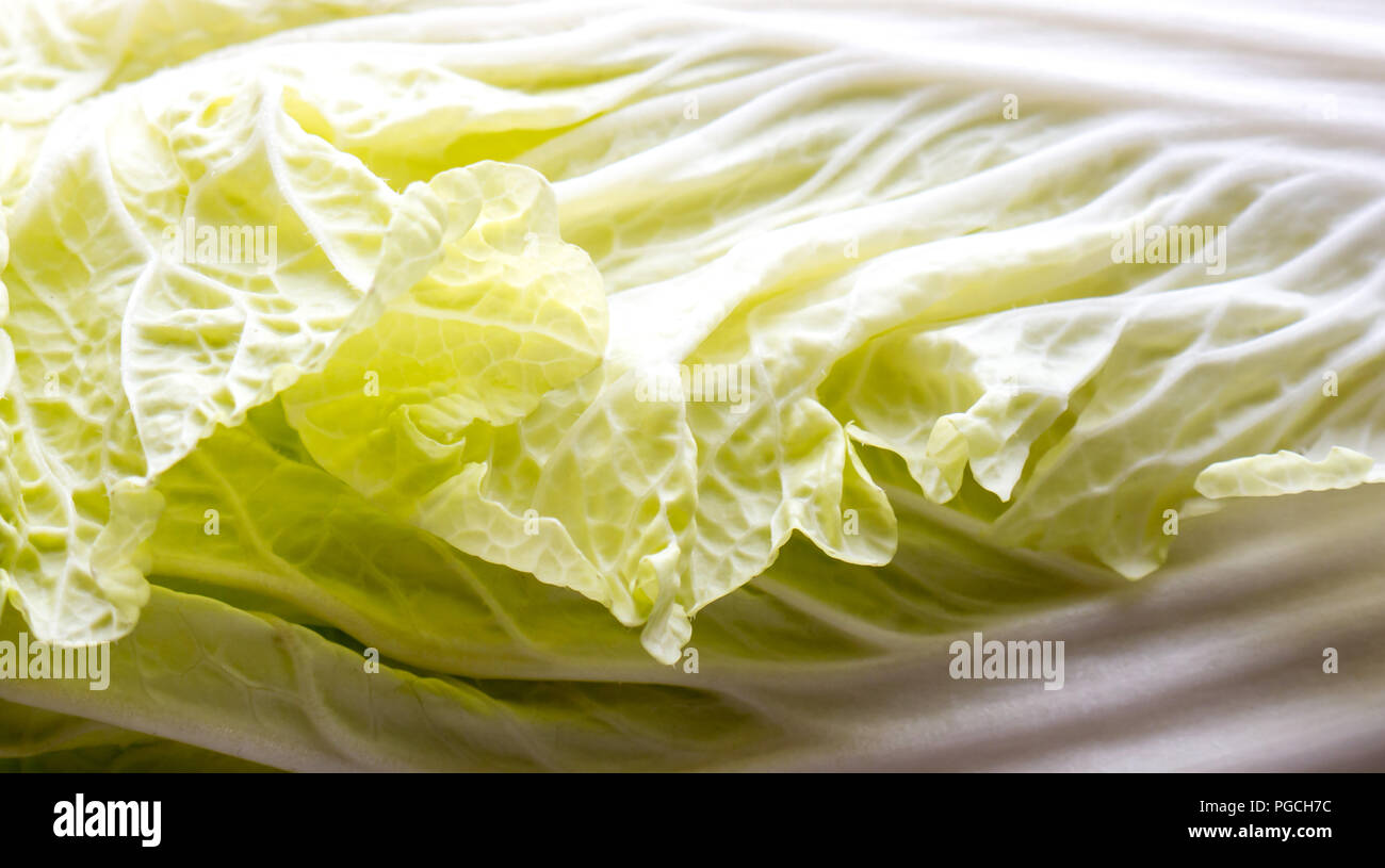 Cabbage background and texture Stock Photo - Alamy