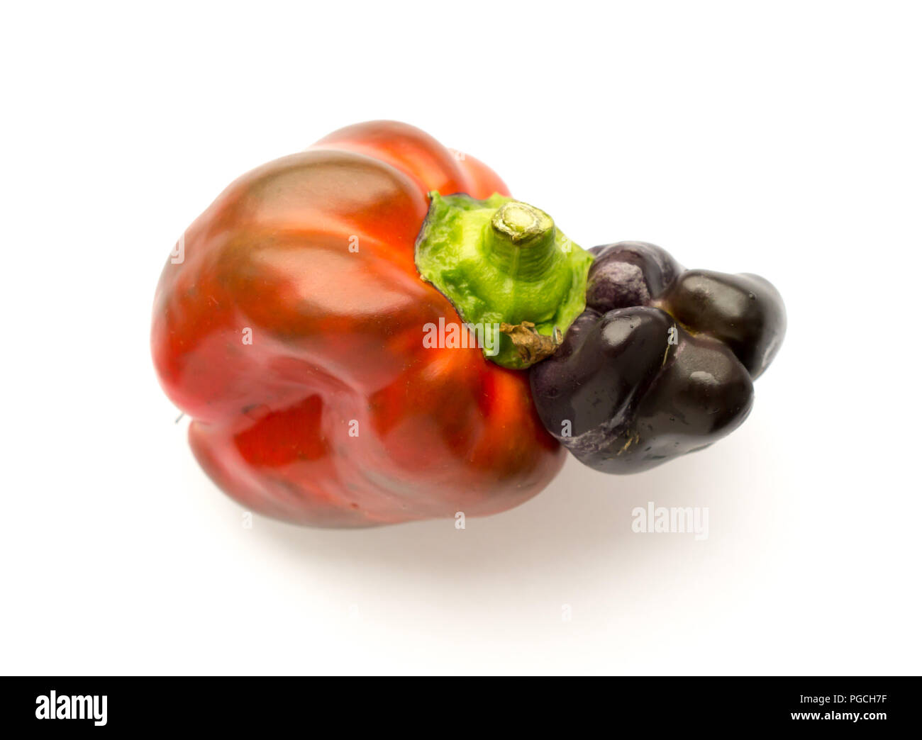 The nature vegetable Pepper object Stock Photo - Alamy