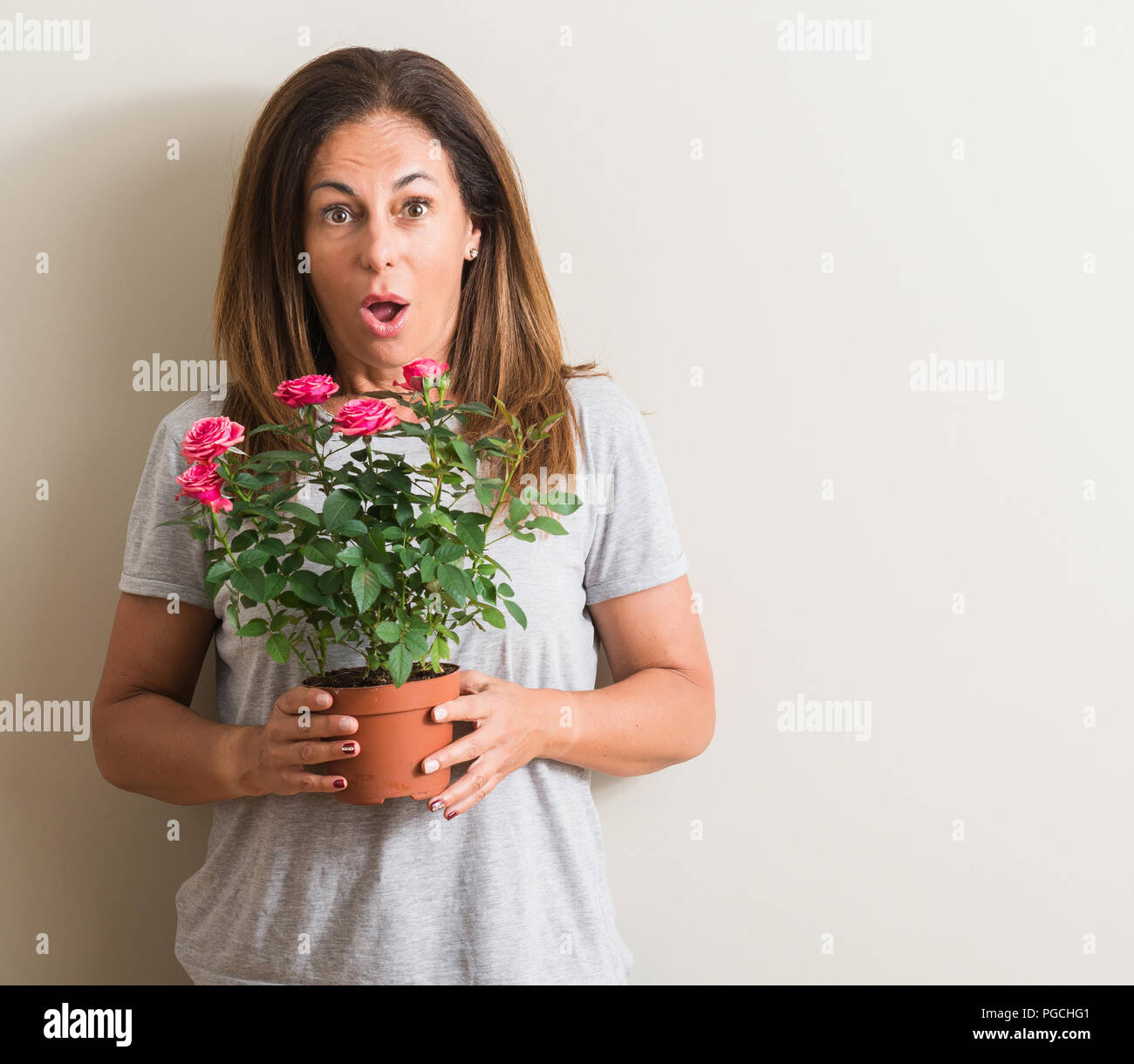 Middle age woman holding roses flowers on pot scared in shock with a ...