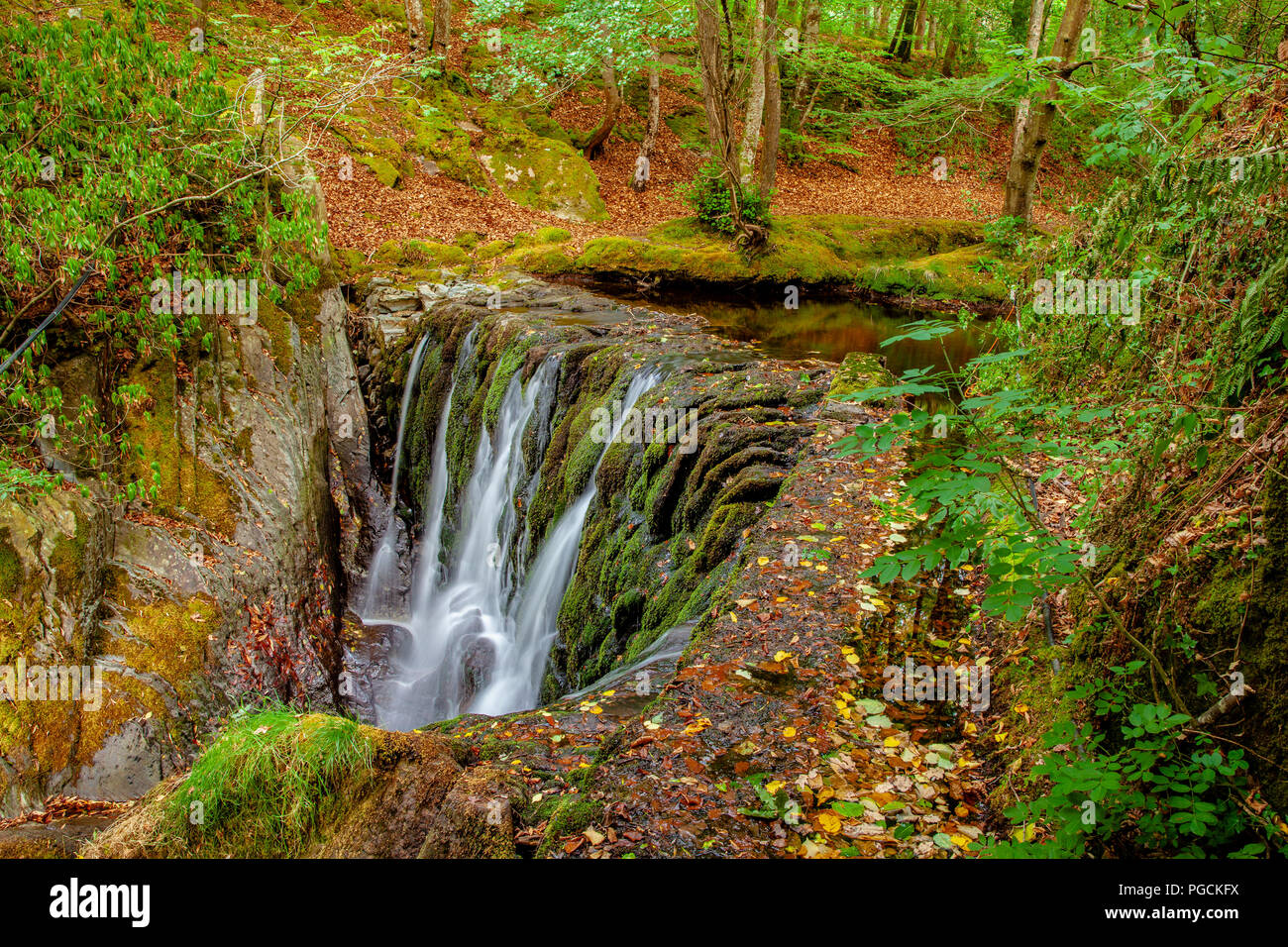 Forest river waterfall nature colorful autumn season scenery Stock ...