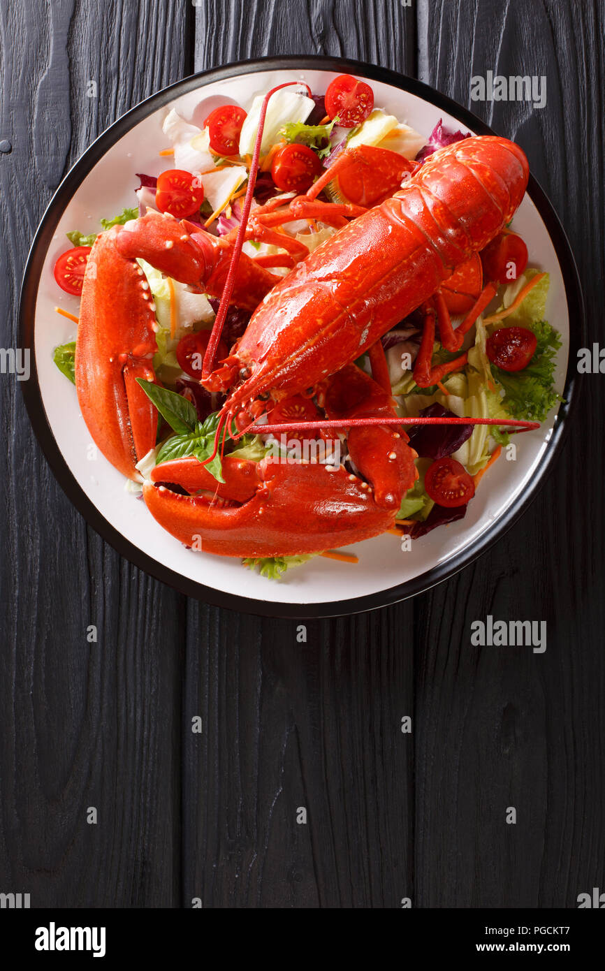 Whole cooked lobster served with vegetable salad on a plate close-up ...