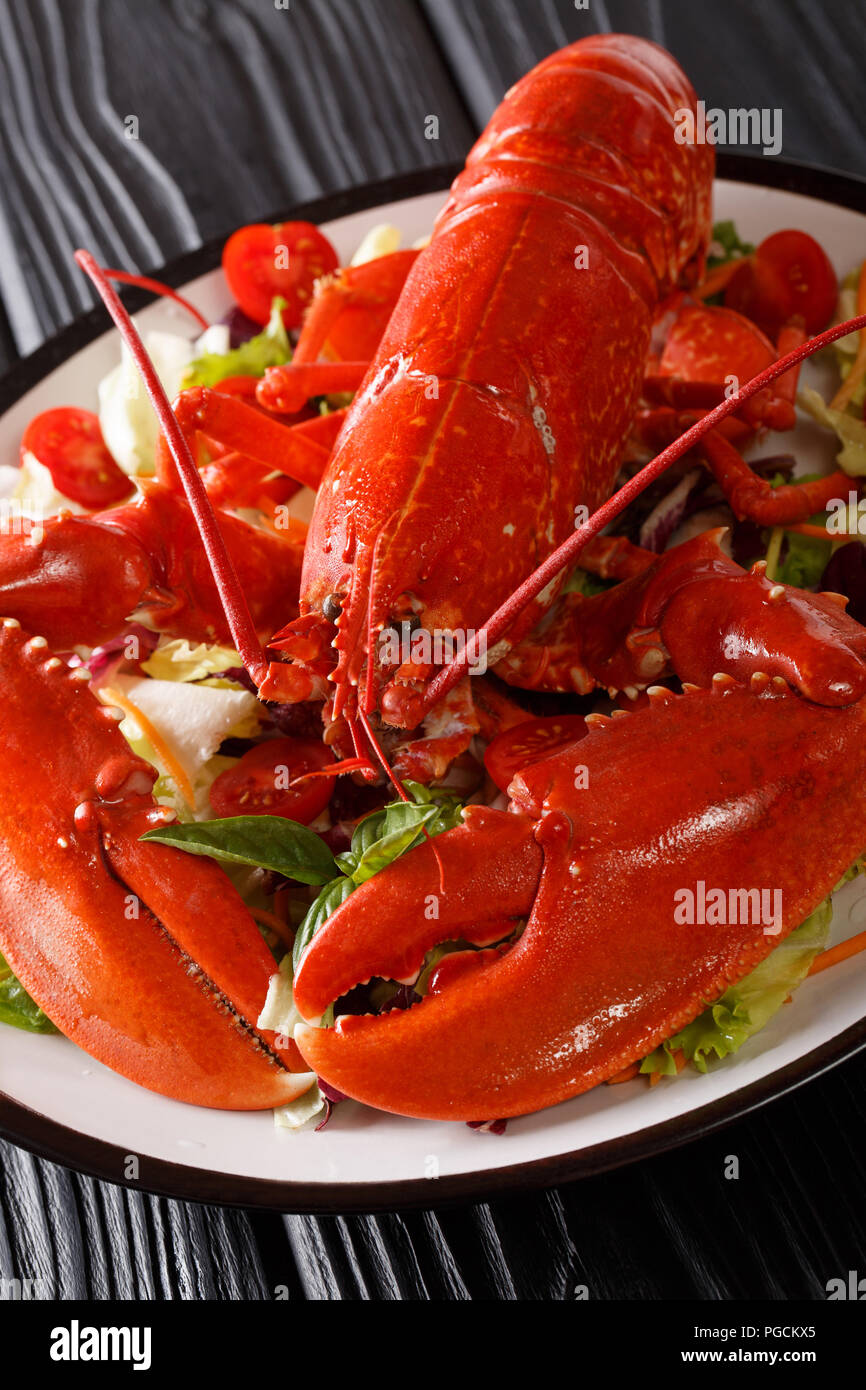 Beautiful luxurious boiled lobster with fresh vegetable salad on a ...