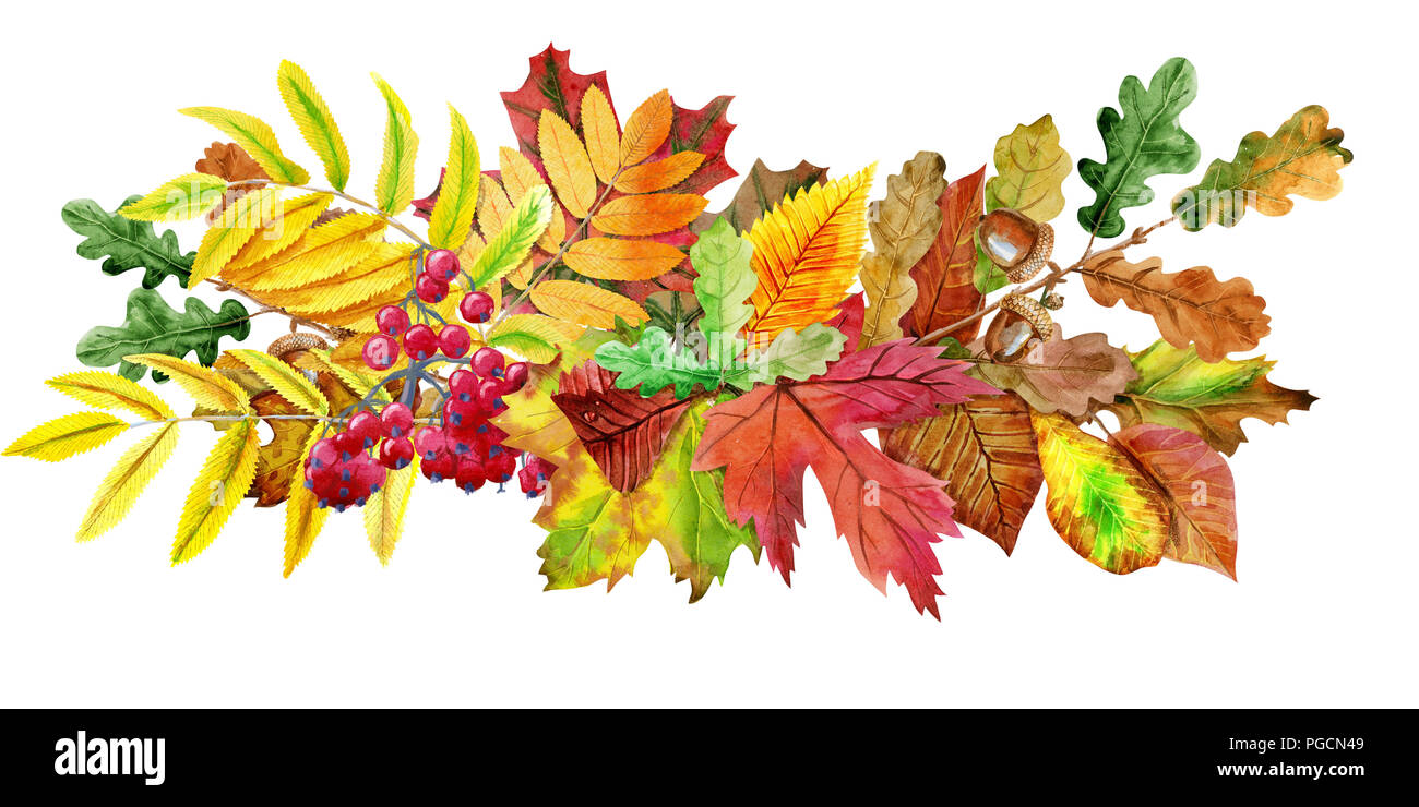 Fall Foliage Border
