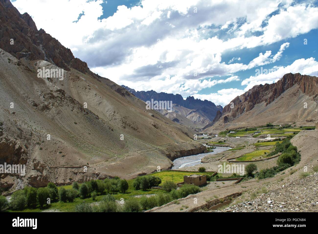 Beautiful Indian Fields in Valley of Kashmir. Wheat Field are ready to ...