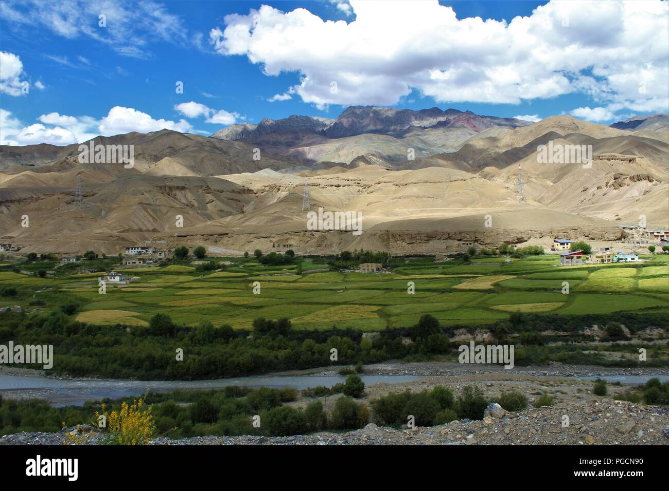 Beautiful Valley from Kashmir with Wheat Fields ready to Harvest Stock ...