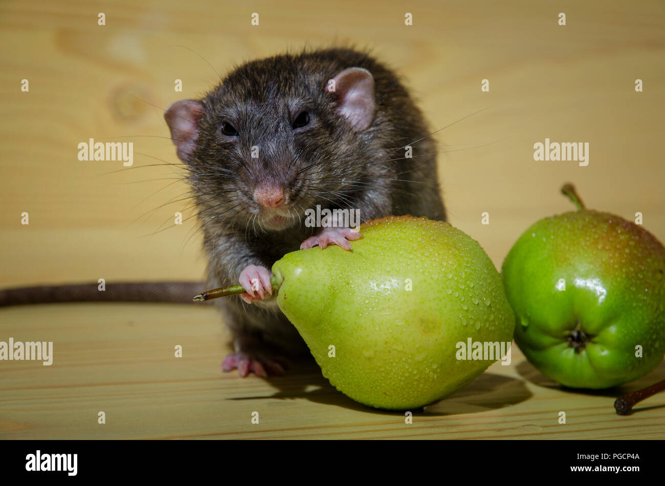 Funny pears hi-res stock photography and images - Alamy