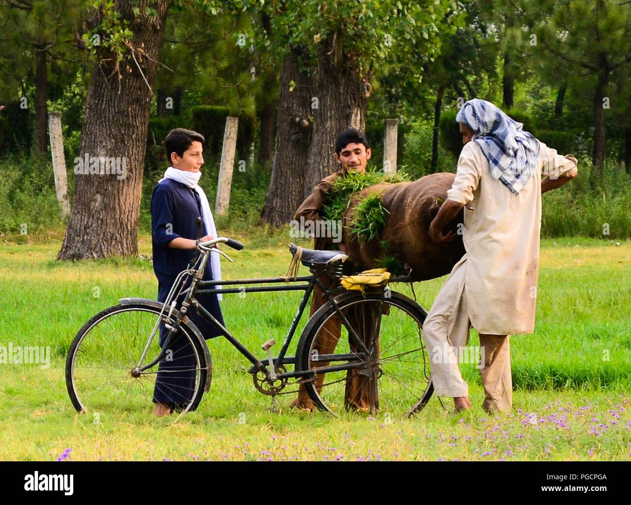 Helping others hi-res stock photography and images - Alamy