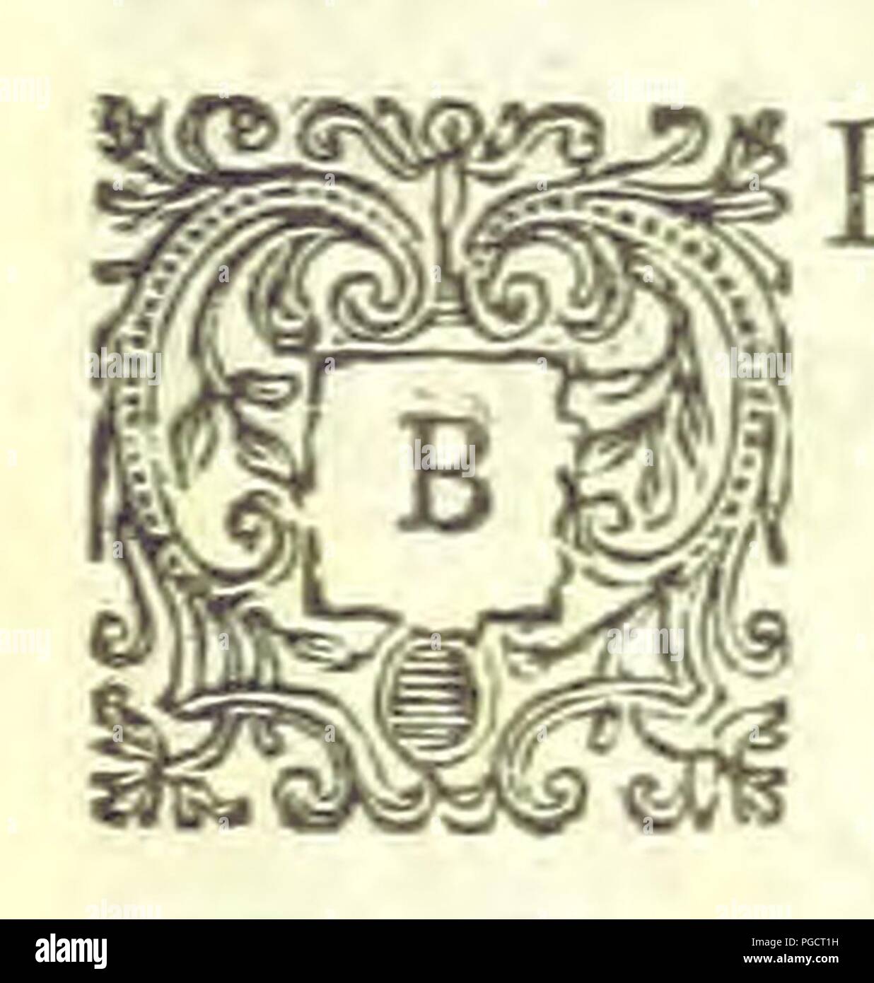 Grobianus hi-res stock photography and images - Alamy