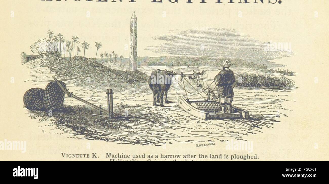 Image from page 35 of '[Manners and Customs of the ancient Egyptians ...