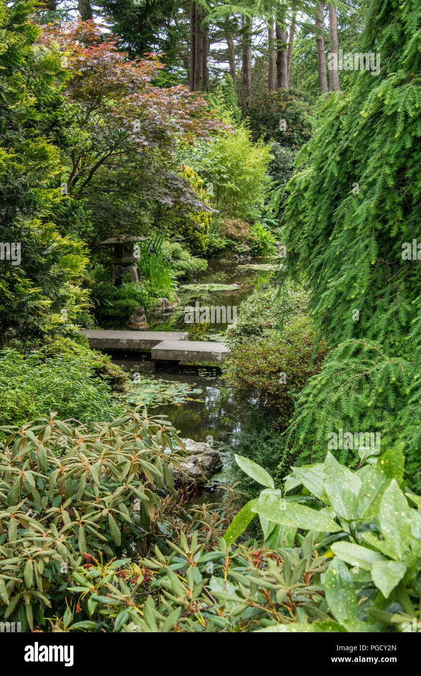 Japanese Garden, Compton Acres, Dorset Stock Photo - Alamy