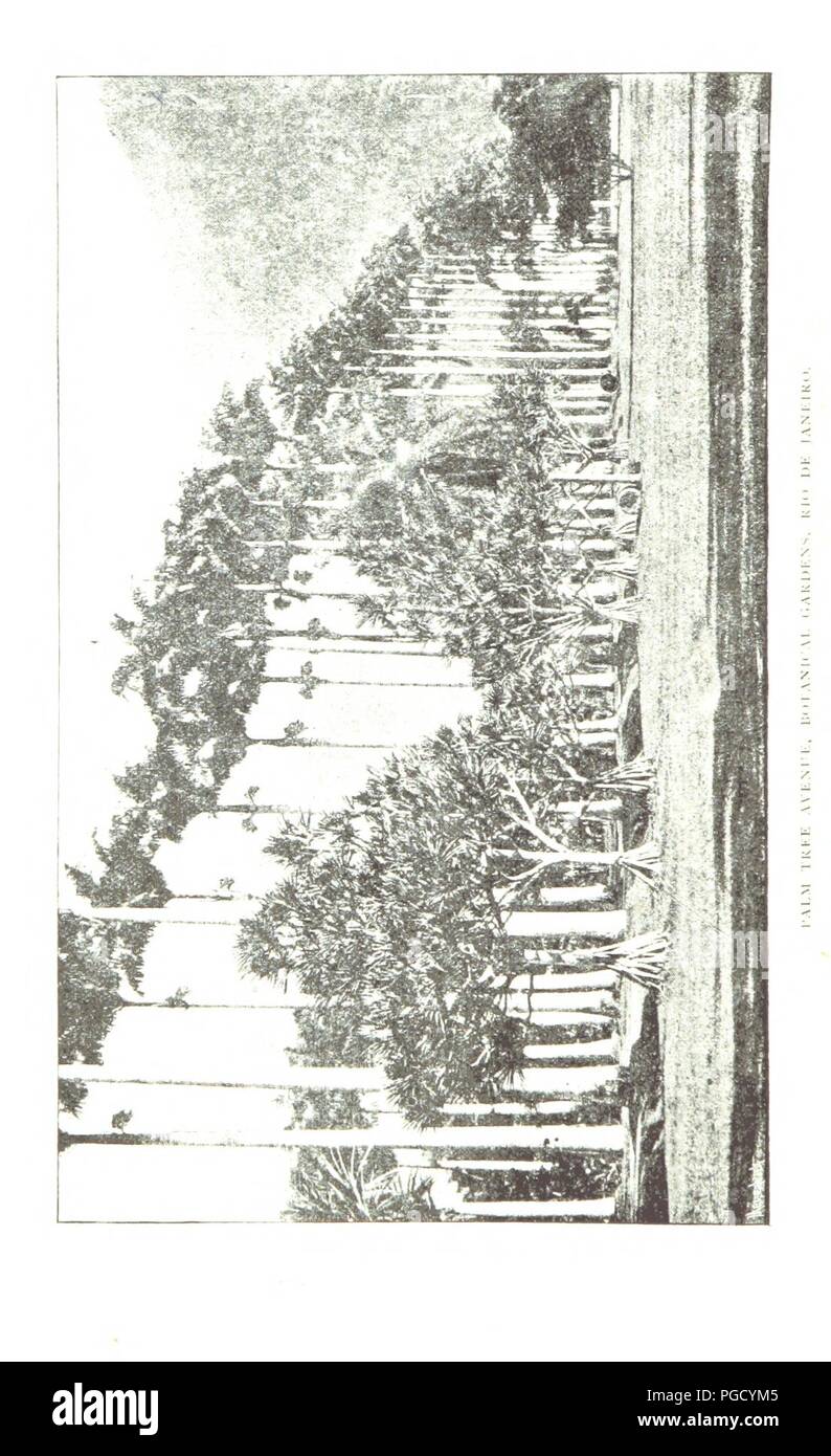 Abolition of slavery 'brazil' hi-res stock photography and images - Alamy