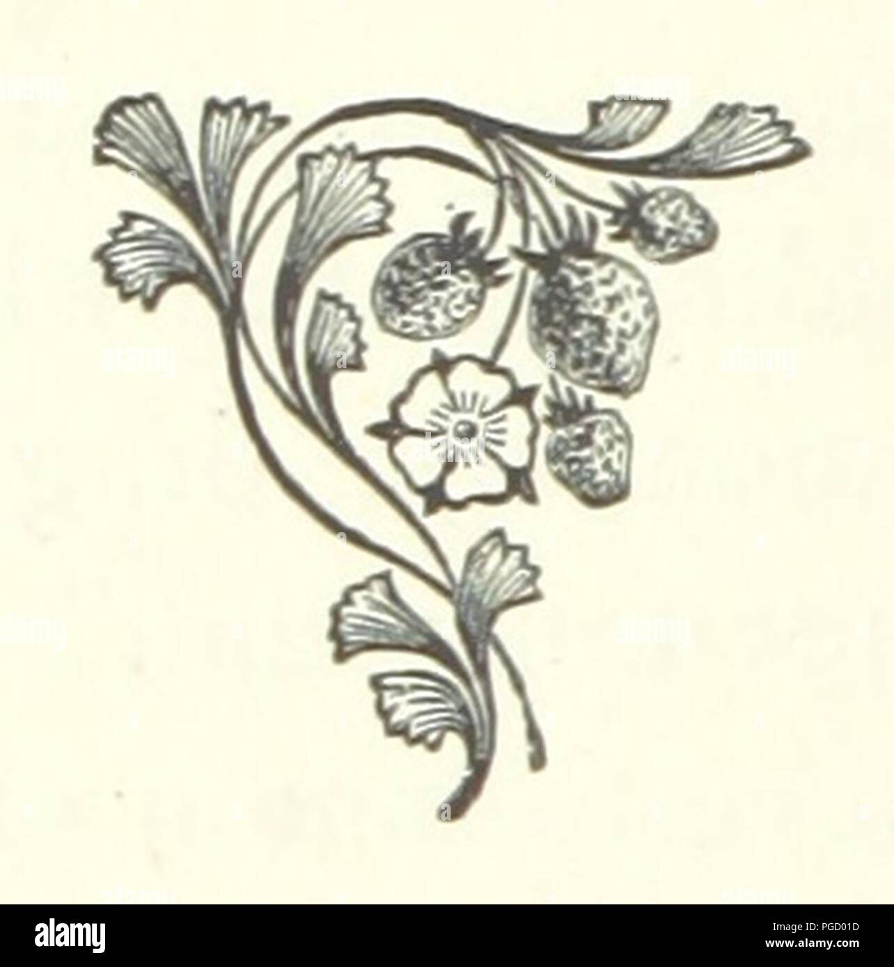 Mitre court hi-res stock photography and images - Alamy