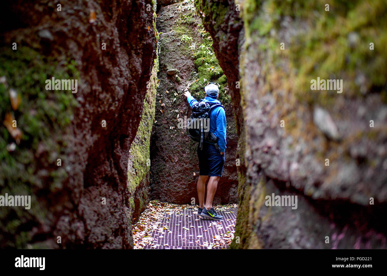Eisenach, Germany. 25th Aug, 2018. A young man walks through the Dragon ...