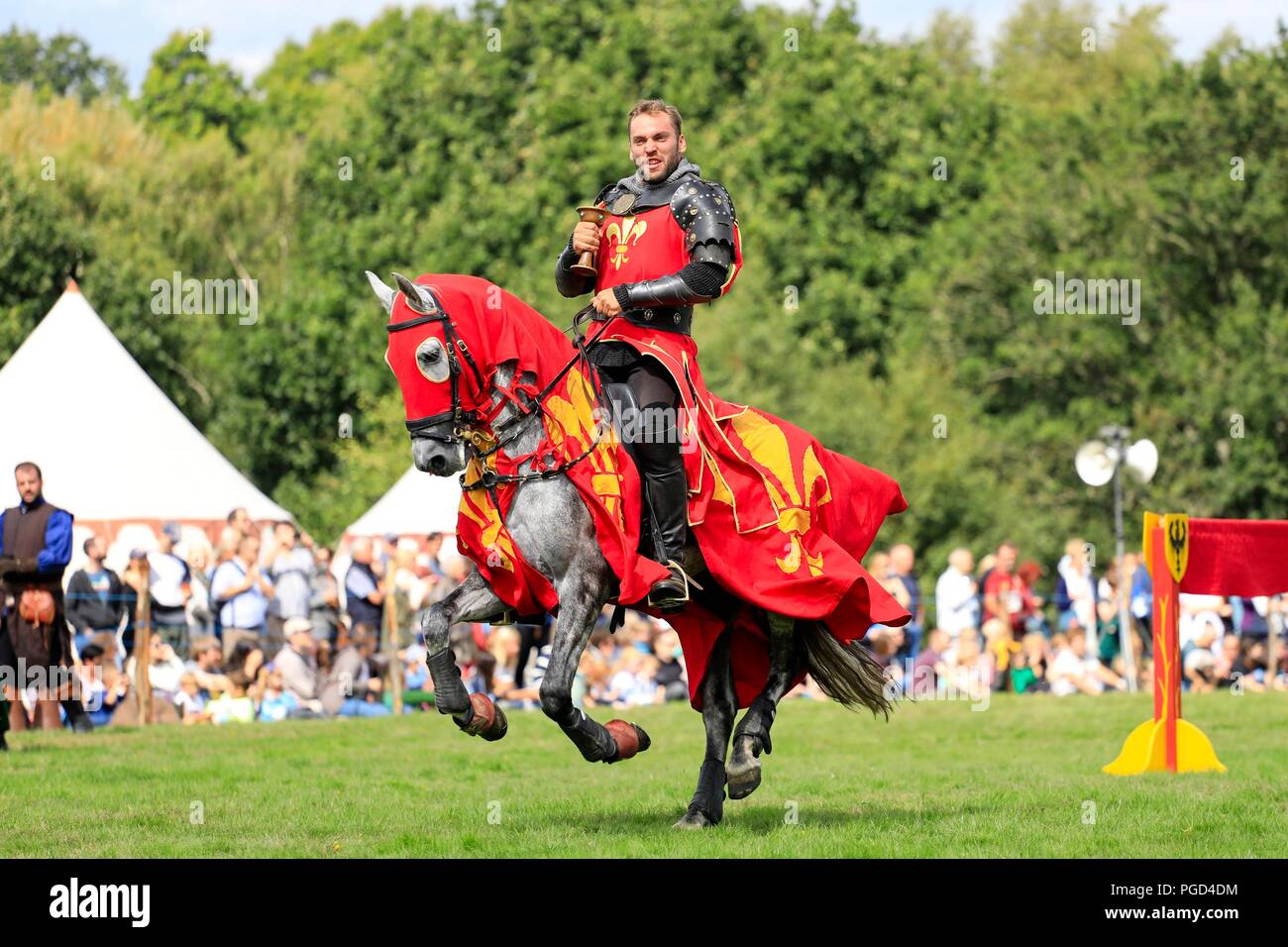 Medieval Knight On Horse Rearing