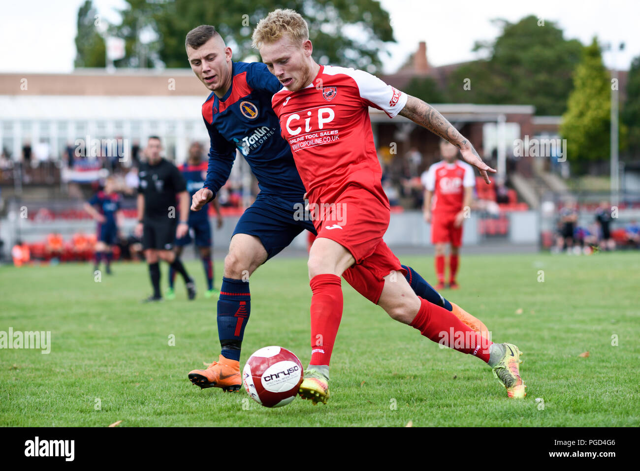 Mansfield bulls hi-res stock photography and images - Alamy
