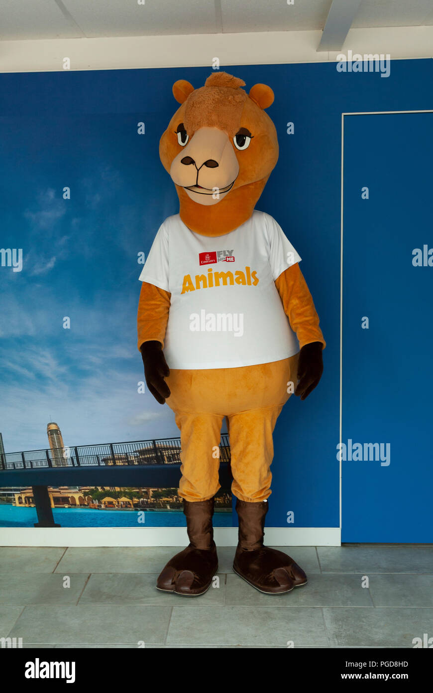 New York, NY - August 25, 2018: Emirates Airline mascot poses US Open ...