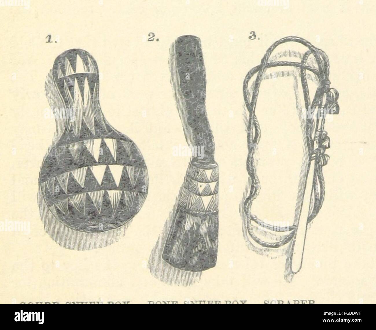 Image from page 72 of 'The Natural History of Man; being an account of ...