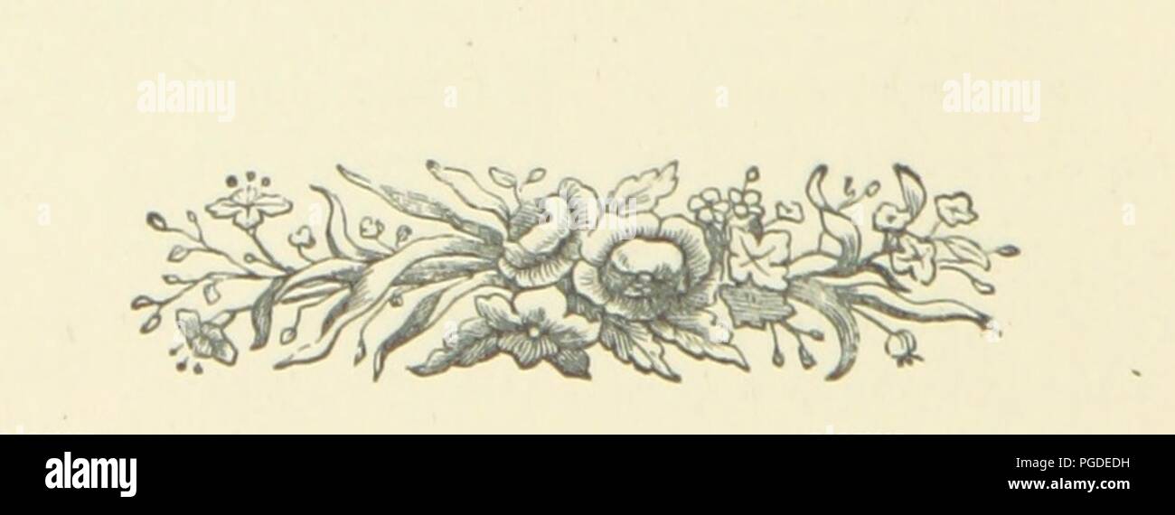 Image from page 80 of 'Views in North Wales from original drawings by T ...