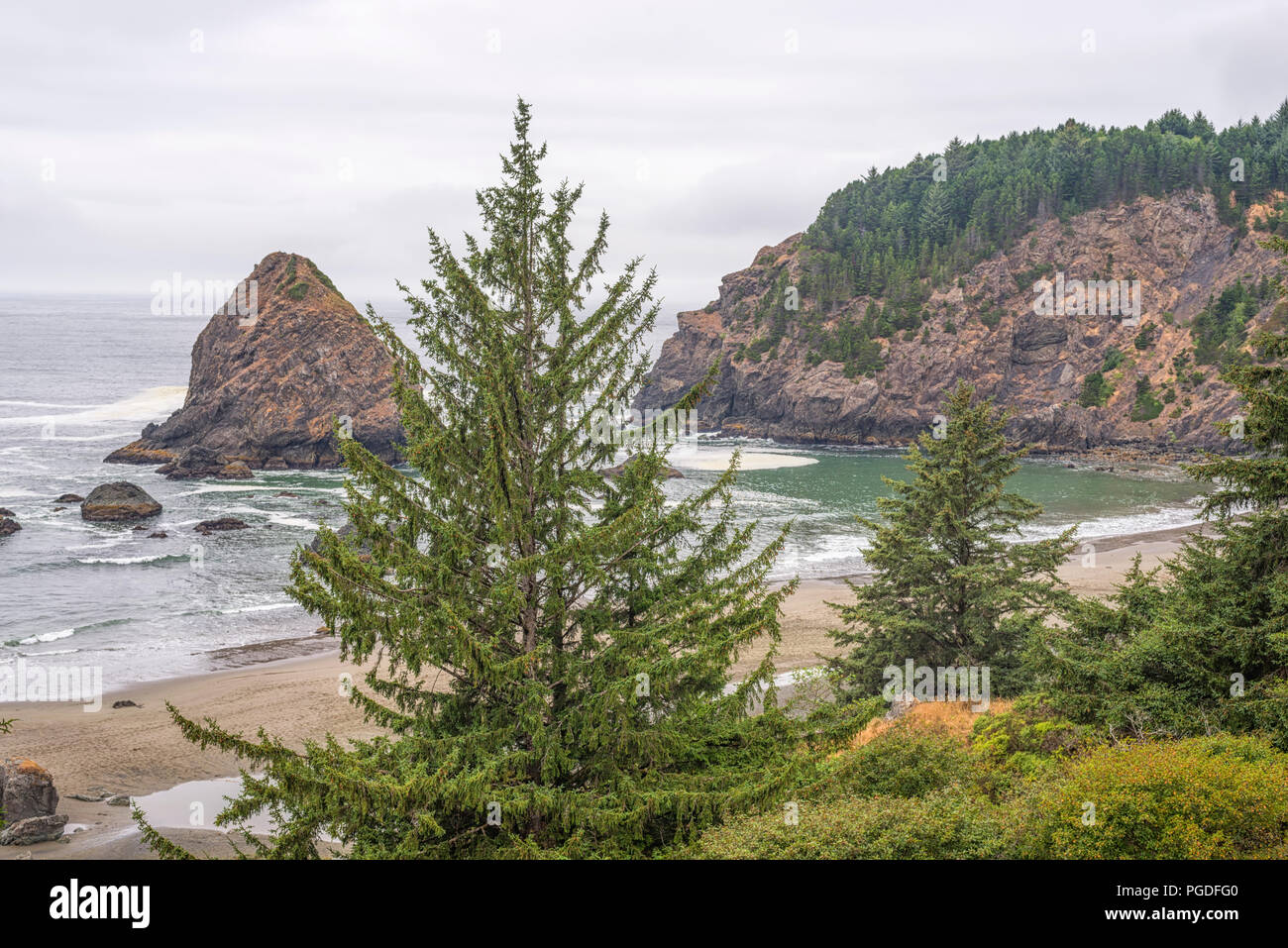 Whaleshead Beach. Samuel H. Boardman State Scenic Corridor ...