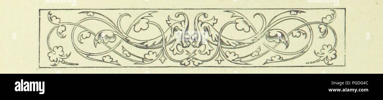 Image from page 102 of 'The Dark Colleen. A love story. By the author ...