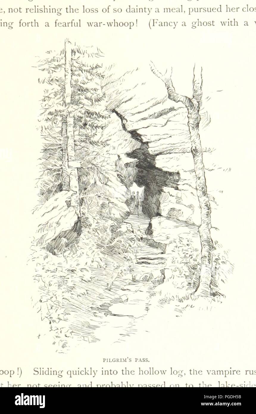 Rip Van Winkle Illustration High Resolution Stock Photography and ...