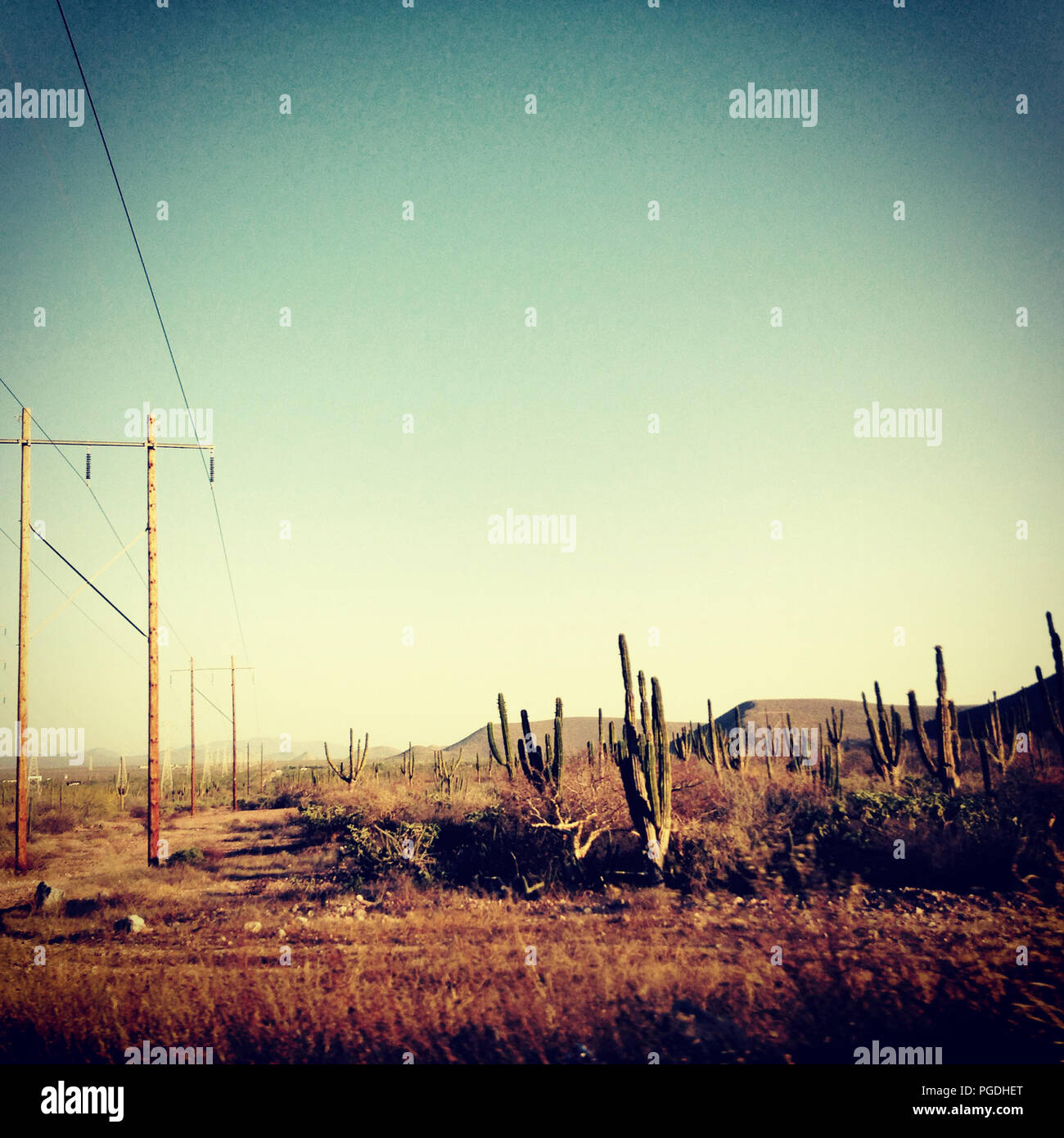 Mexican desert biosfere. Oaxaca, Mexico Stock Photo - Alamy