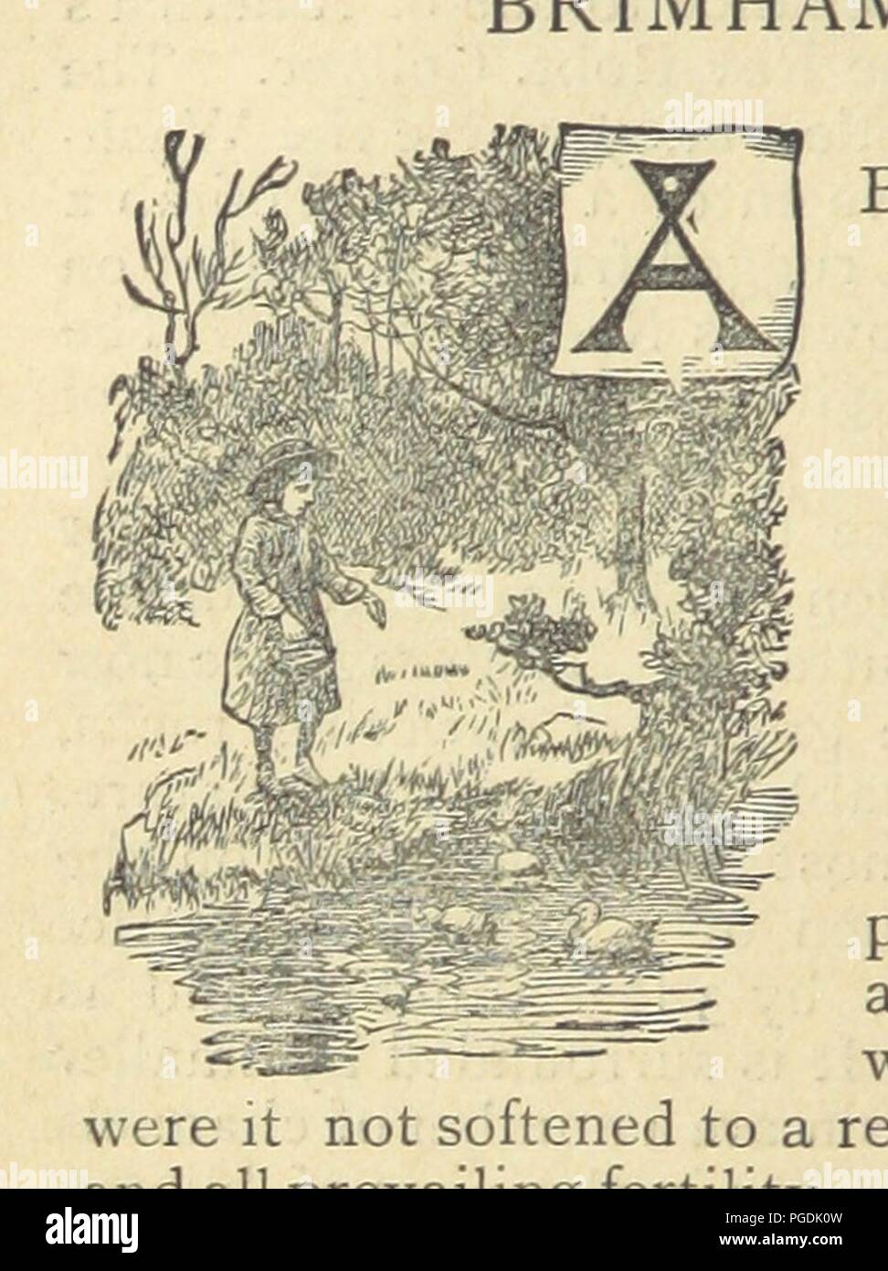 Image from page 146 of 'Second edition of Thorpe's New Illustrated ...