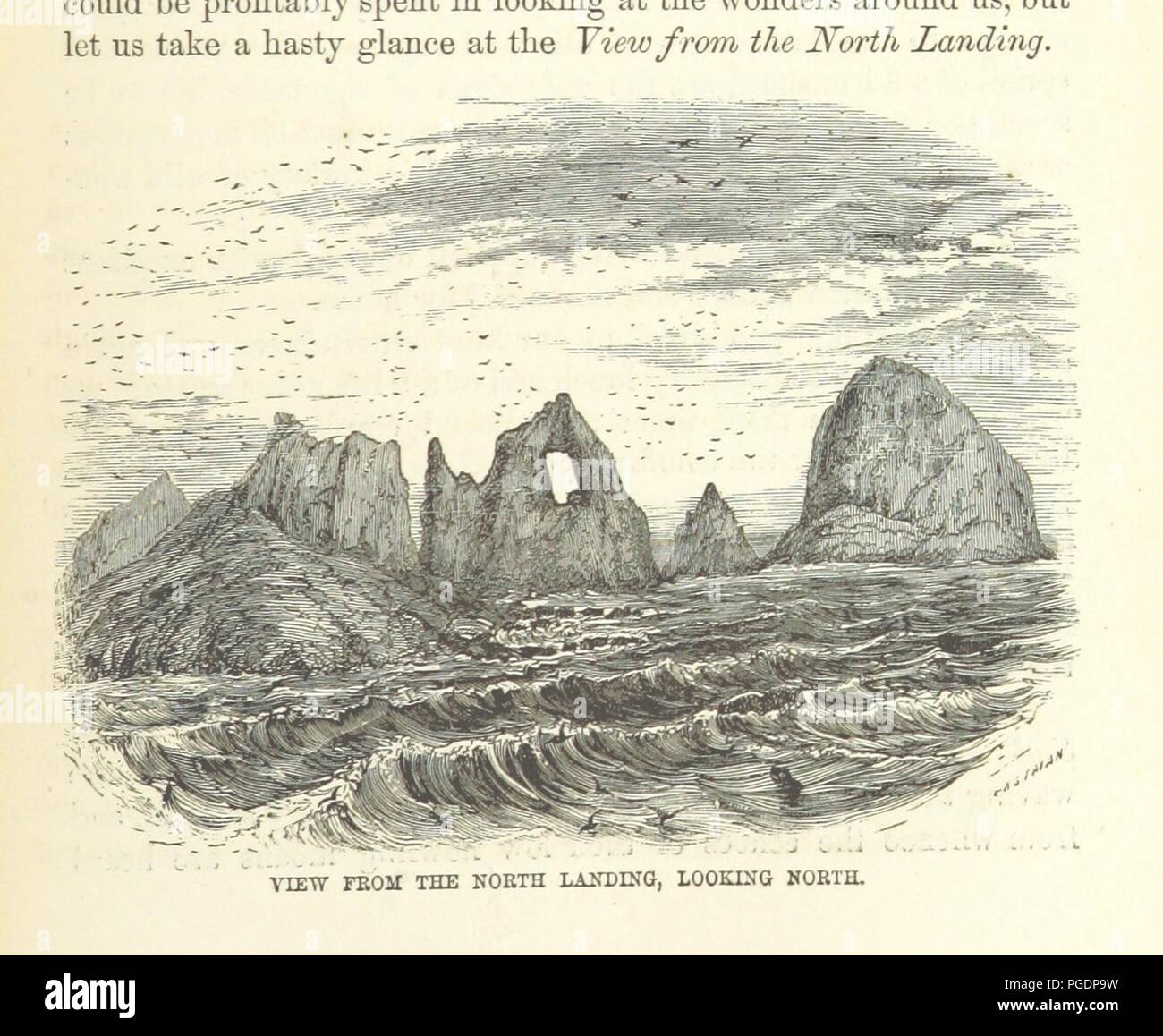 Image from page 207 of 'Scenes of wonder and curiosity in California ...