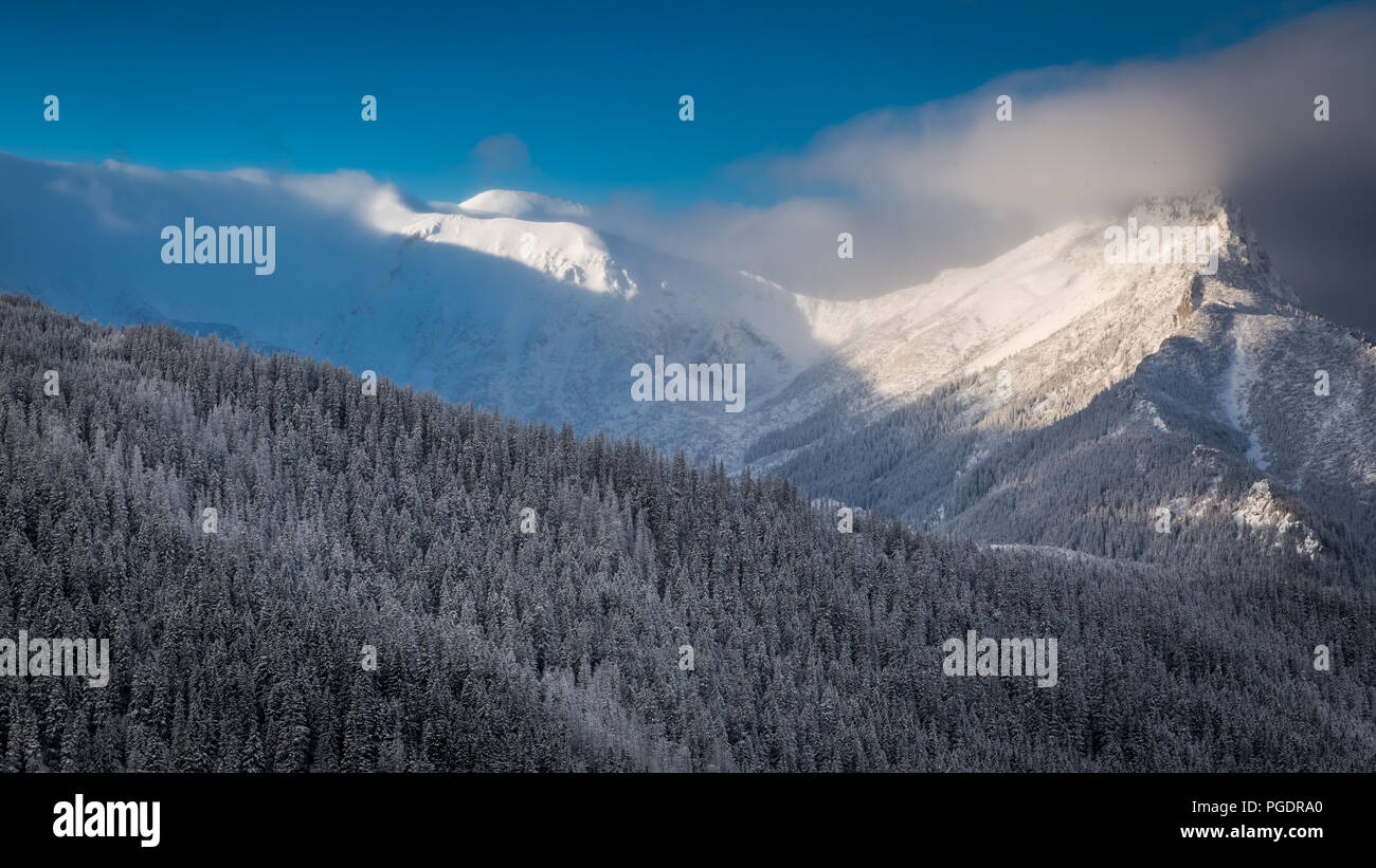 Cold dawn in Tatra Mountains at winter in Poland Stock Photo - Alamy