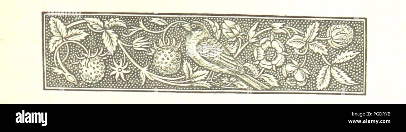 Image from page 239 of '[Handy-Book of Rules and Tables for verifying ...