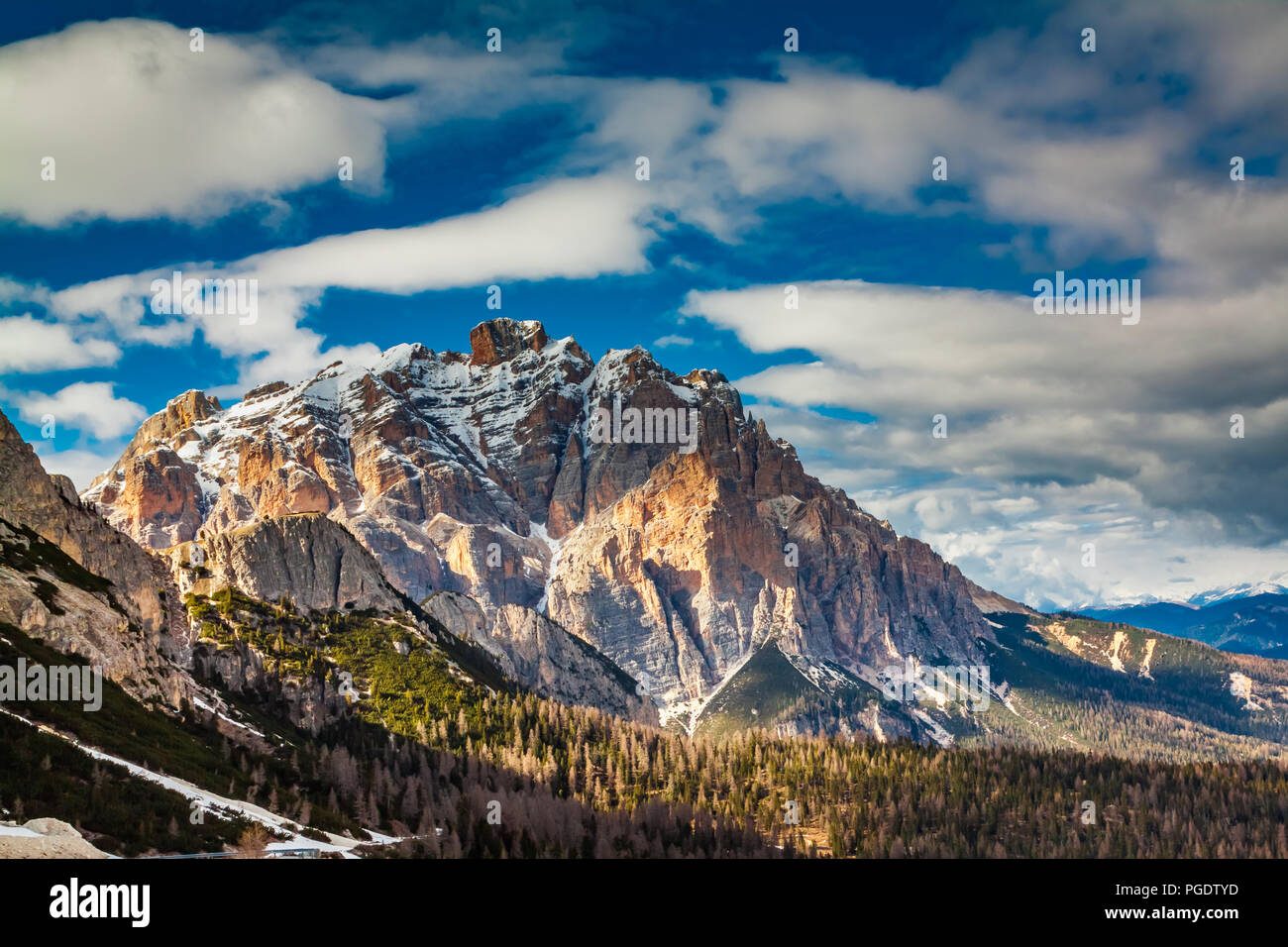 Serpentine spring beauty hi-res stock photography and images - Alamy