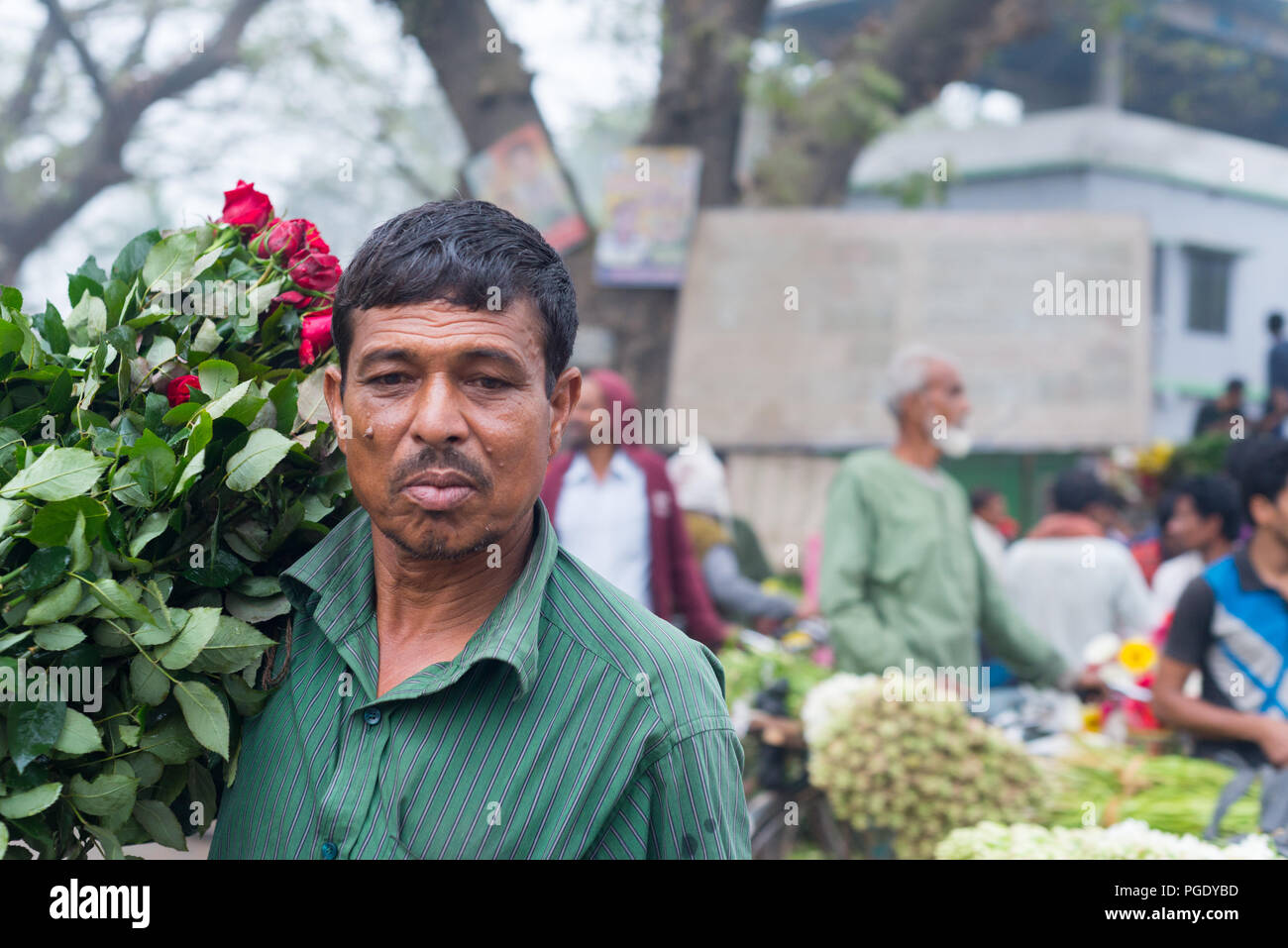 Gadha flower hi-res stock photography and images - Alamy