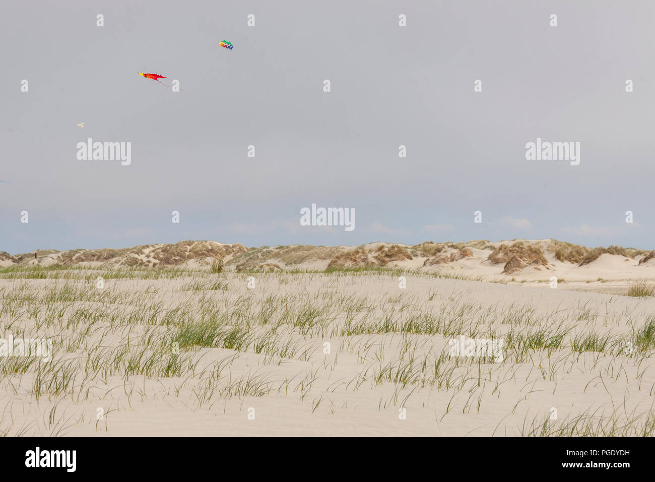 Beach on Romo Island. Denmark, Europe Stock Photo - Alamy