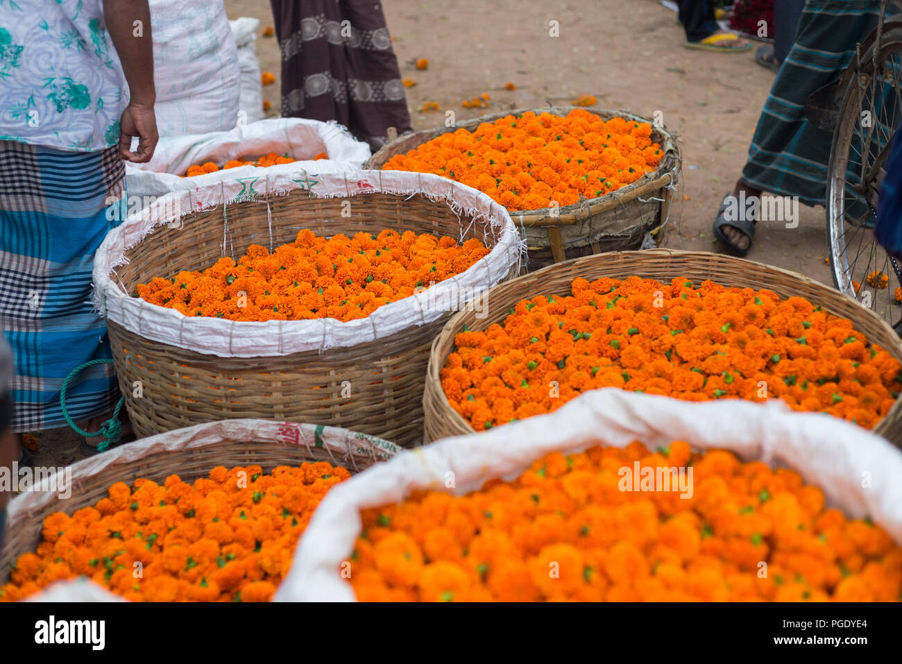 wholesale flowers market, godkhali,Jhikorgacha, jessore 2016 Stock ...