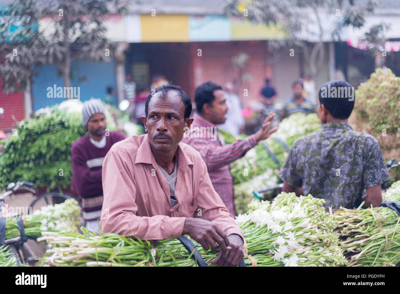 wholesale flowers market, godkhali,Jhikorgacha, jessore 2016 Stock ...