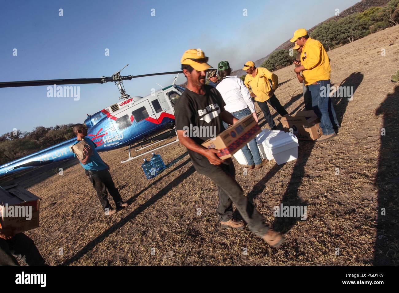 Helicopter used by the Conafor, National Forestry Commission to fight ...