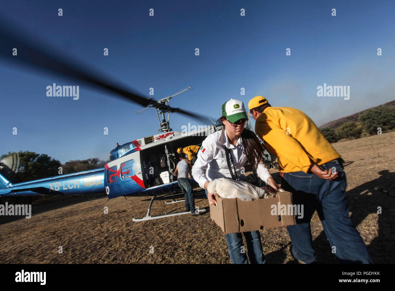 Helicopter used by the Conafor, National Forestry Commission to fight ...