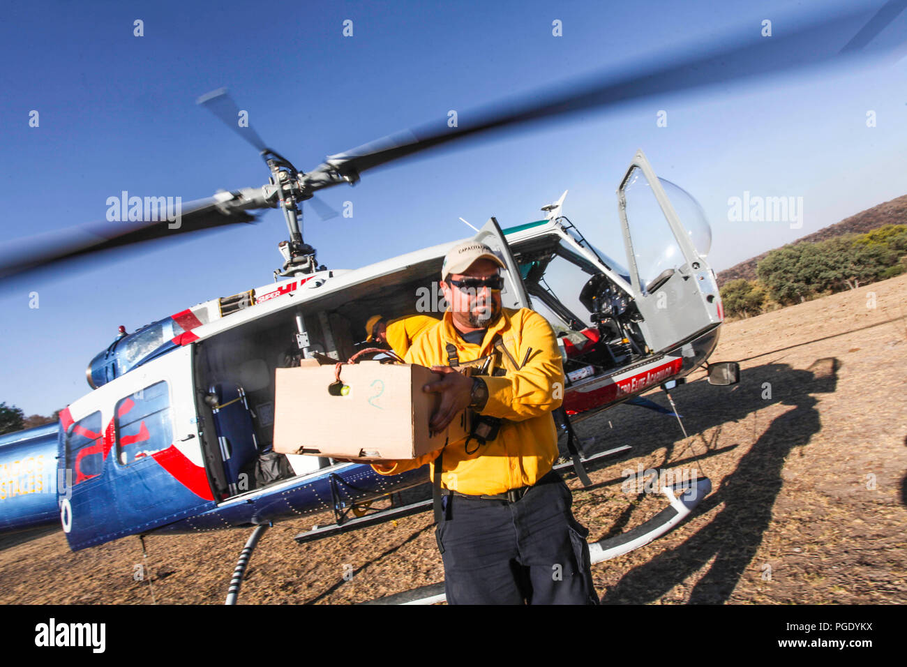 Helicopter used by the Conafor, National Forestry Commission to fight ...