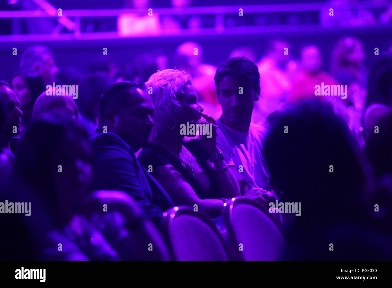 Marisela. Mexican singer Juan Gabriel, during his concert on the night ...