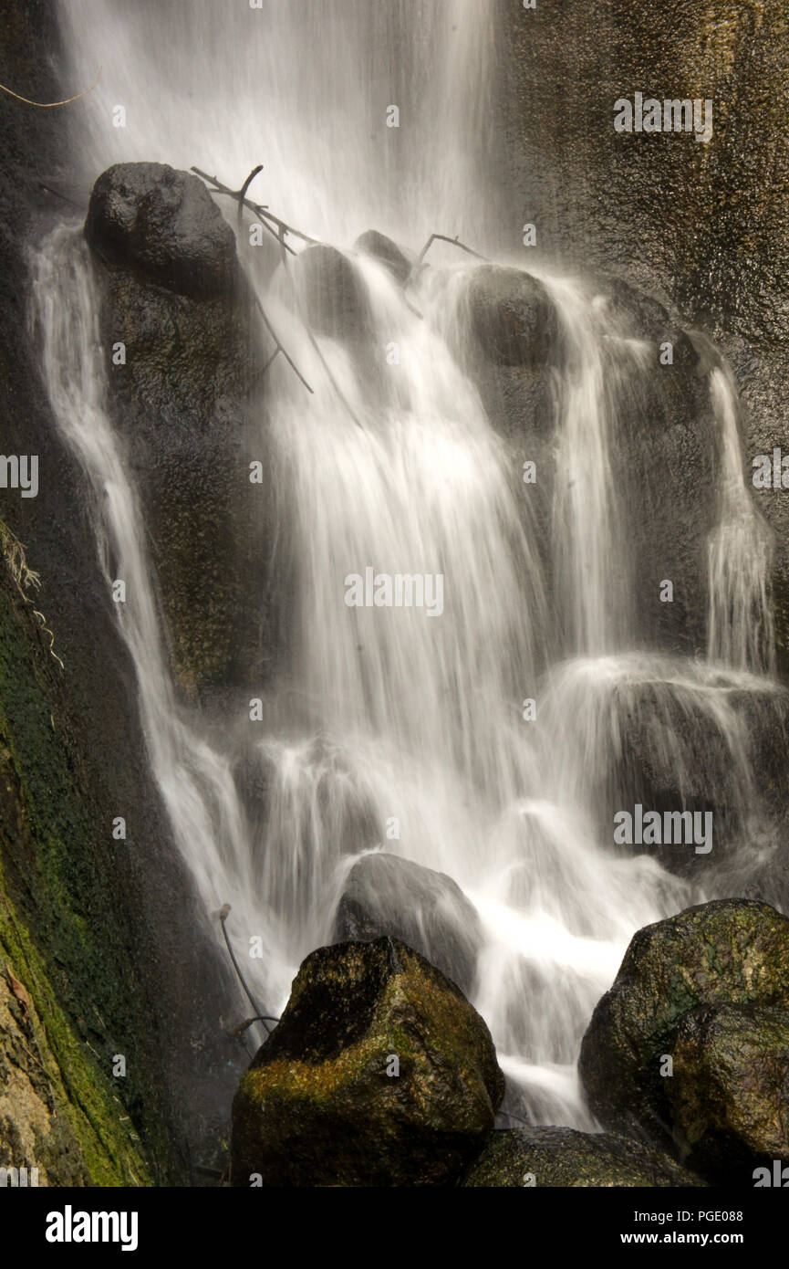 Indoor waterfall at the Eden Project, Cornwall, England Stock Photo - Alamy