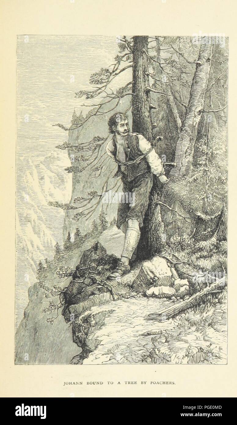 Image from page 237 of '[Tyrol and the Tyrolese the people and the land ...