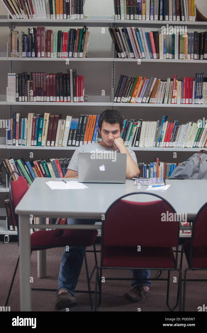 Estudiantes de educación superior hi-res stock photography and images ...