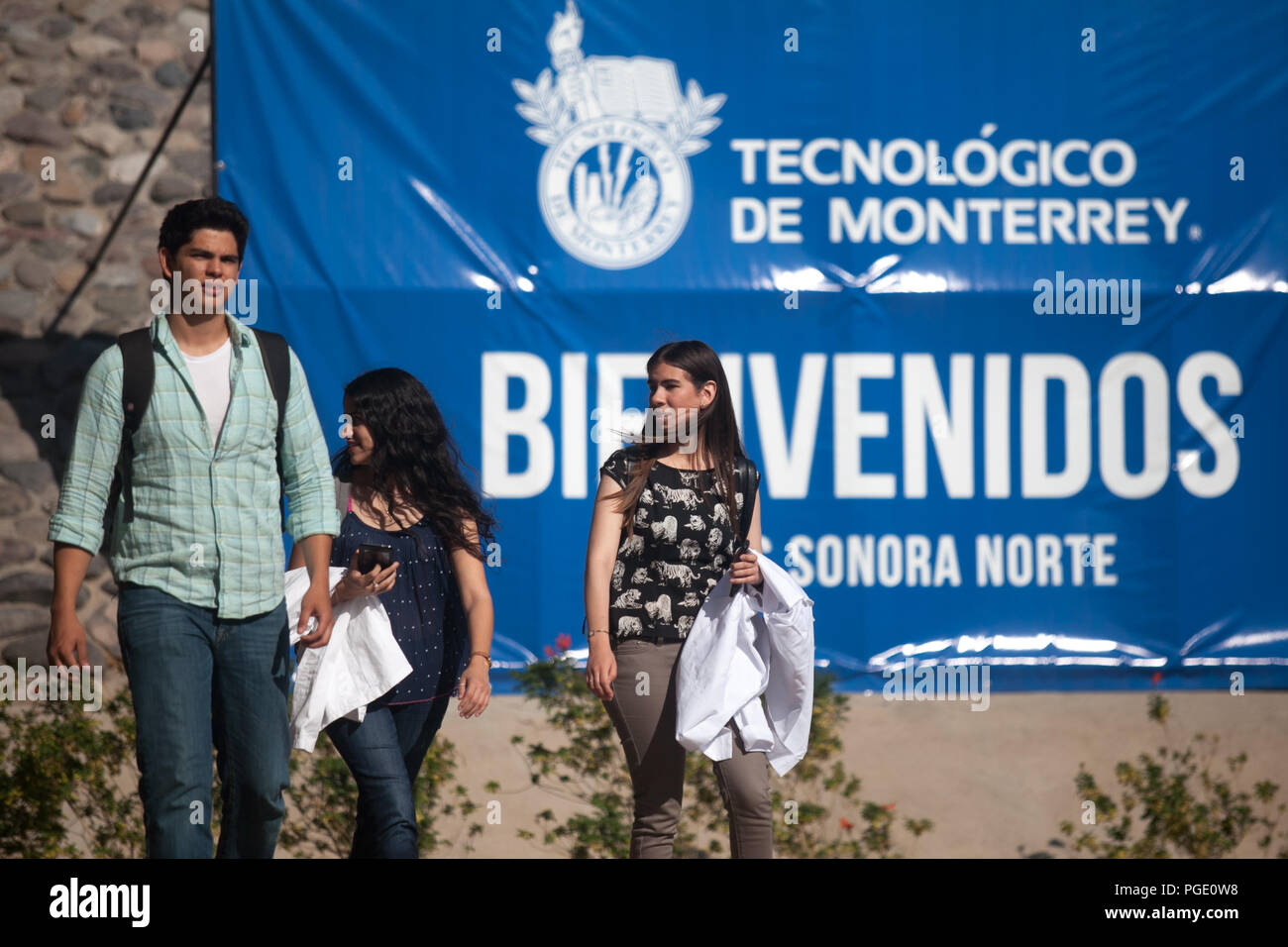 Technological Institute and of Superior Studies of Monterrey ...