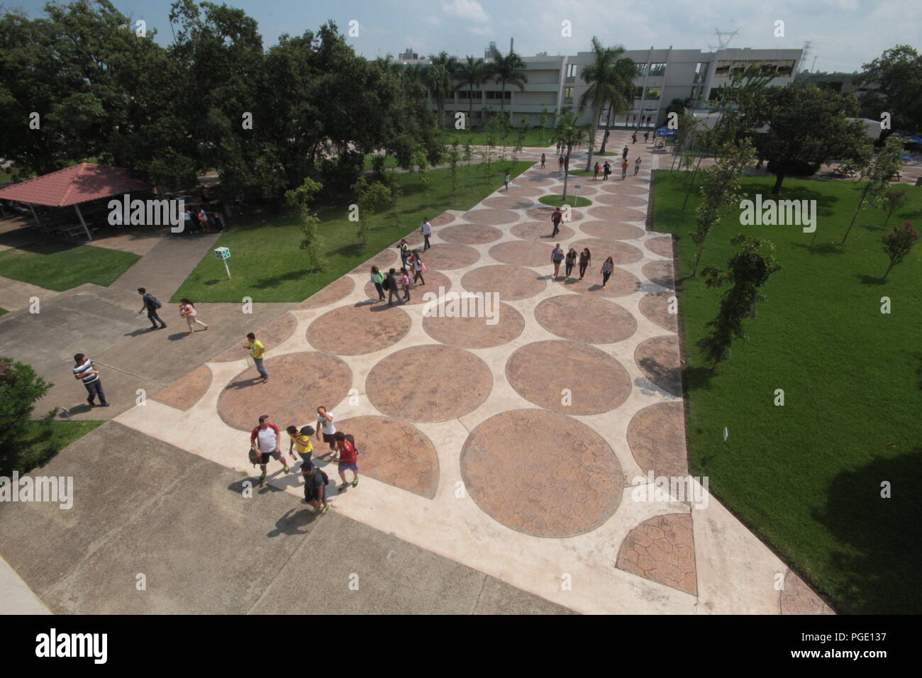 Technological Institute and of Superior Studies of Monterrey. Tampico ...