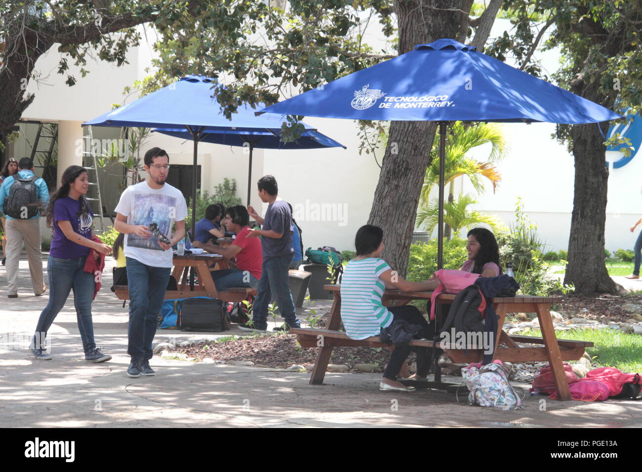 Technological Institute and of Superior Studies of Monterrey. Tampico ...