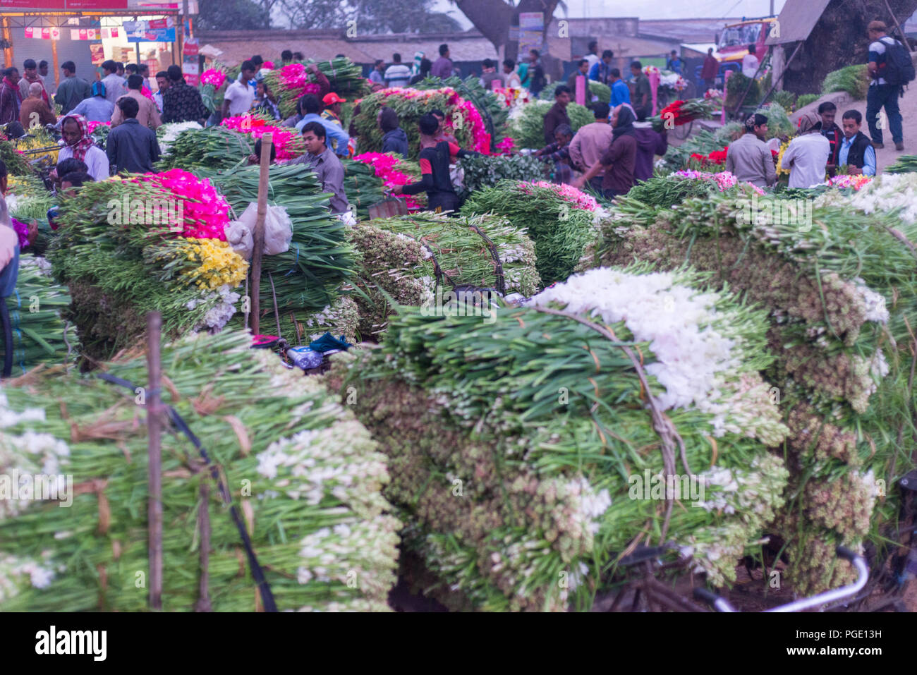 Bangladesh flower hi-res stock photography and images - Alamy