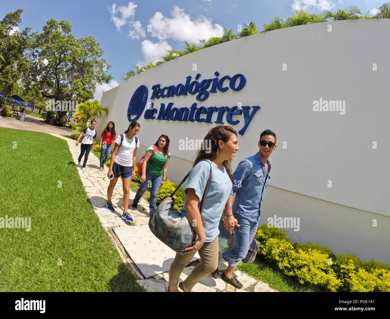 Technological Institute and of Superior Studies of Monterrey. Tampico ...